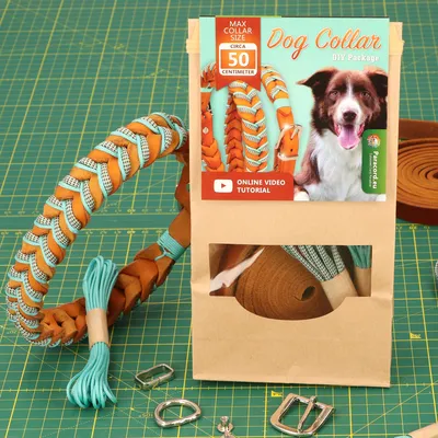 Make a leather collar | Tutorial